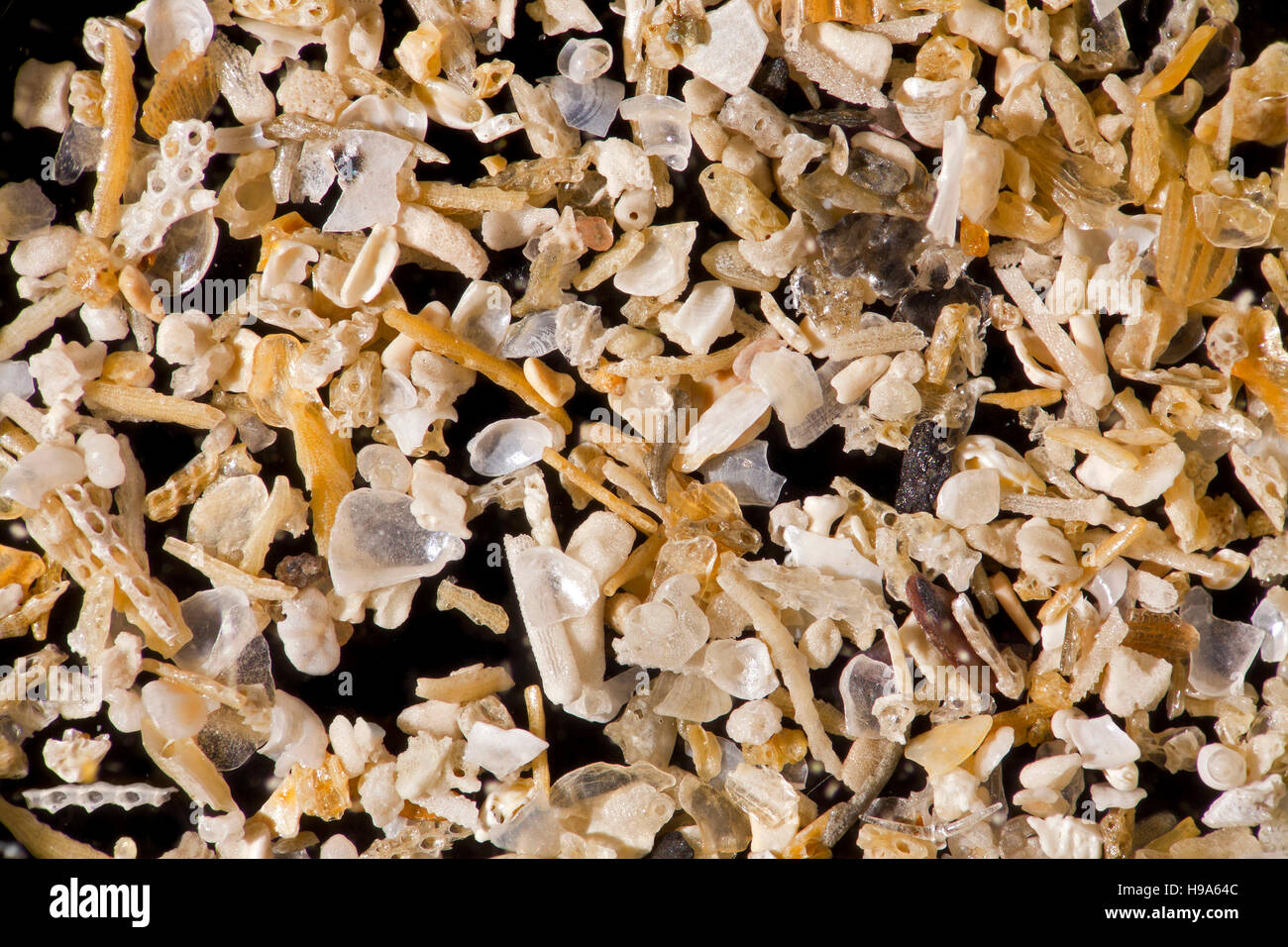 Sand debris hi-res stock photography and images - Alamy
