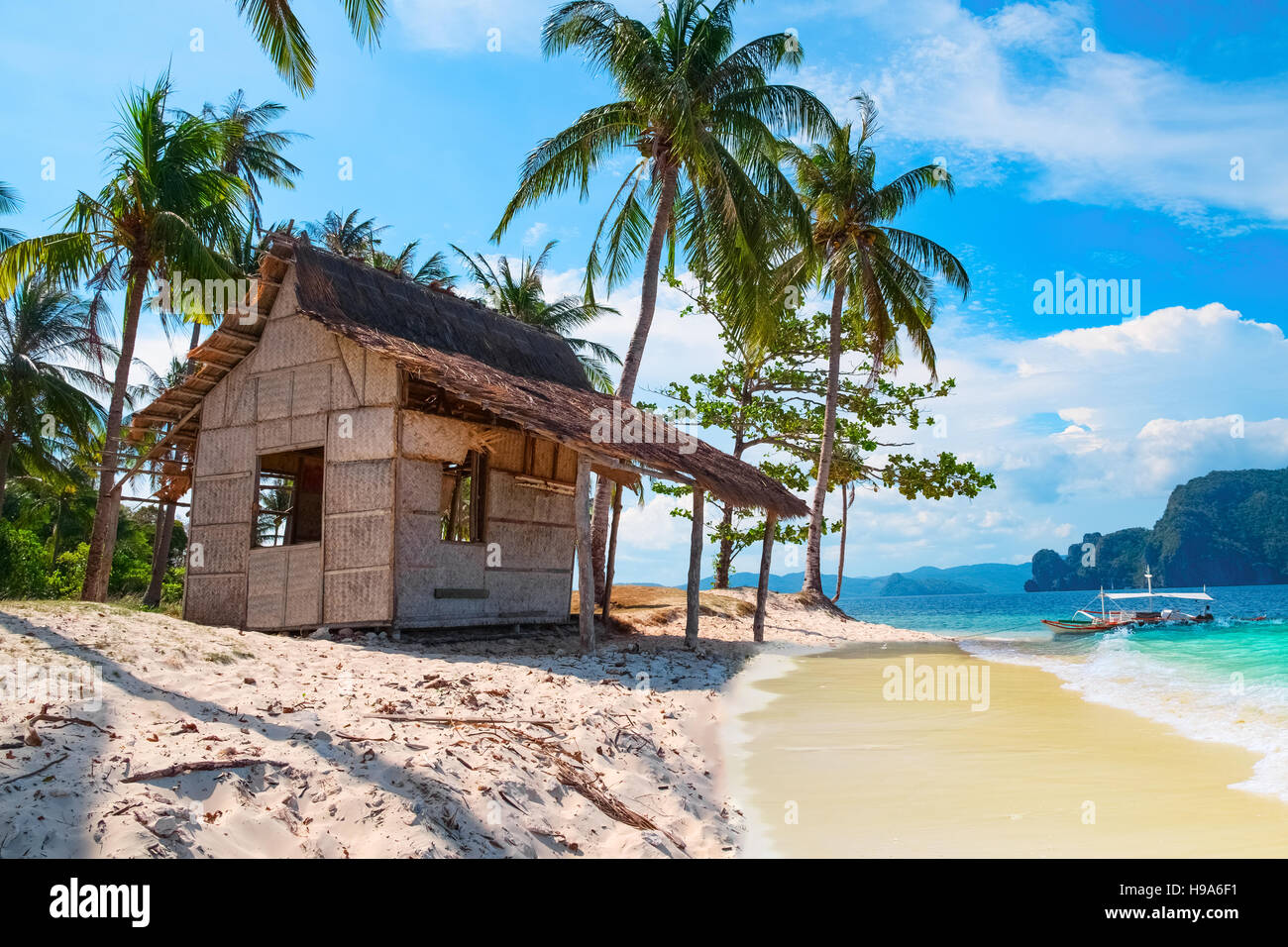 Tropical Beach Style Homes Caribbean House Plans: Tropical Island