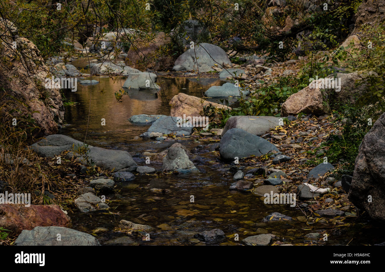 darake river in autumn Stock Photo - Alamy
