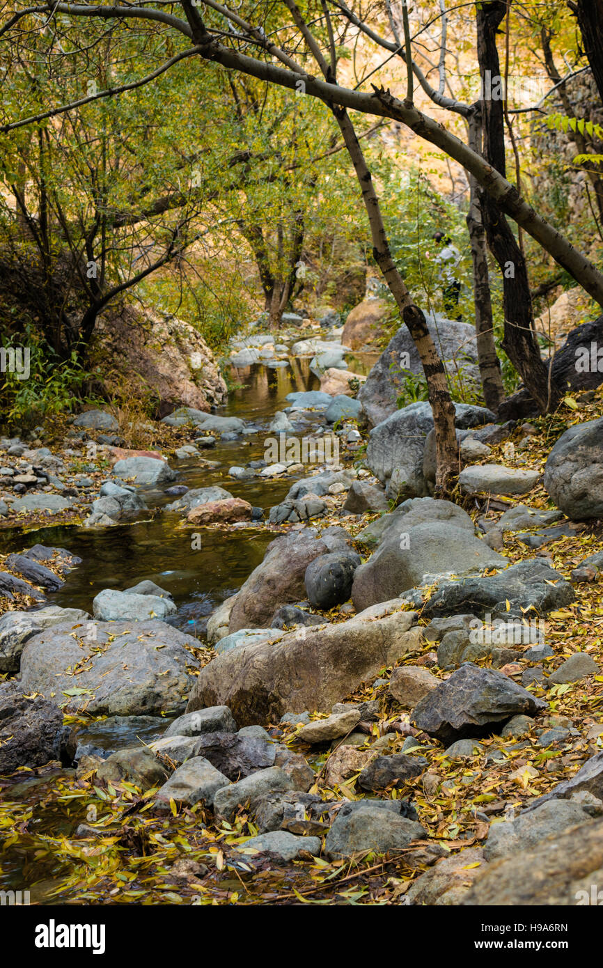 autumn in darake Stock Photo - Alamy