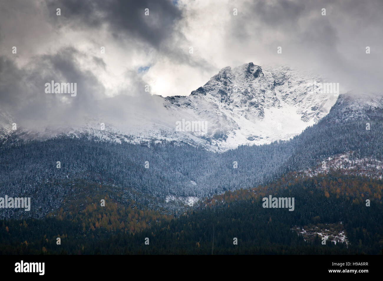 Rodna Mountains in early winter, Transylvania - Romania Stock Photo - Alamy