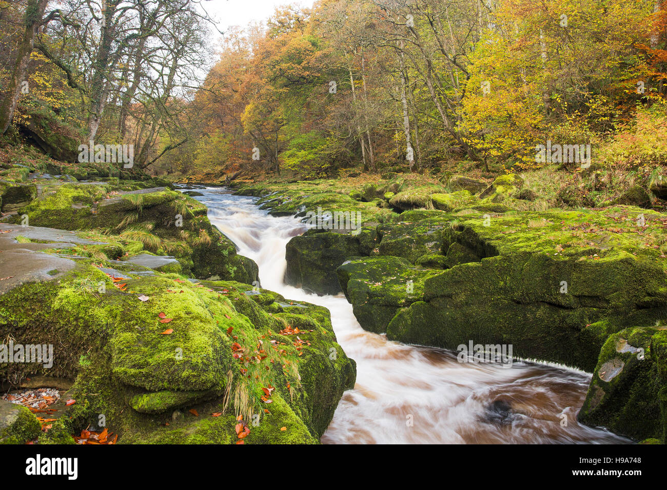 The strid yorkshire dales hi-res stock photography and images - Alamy
