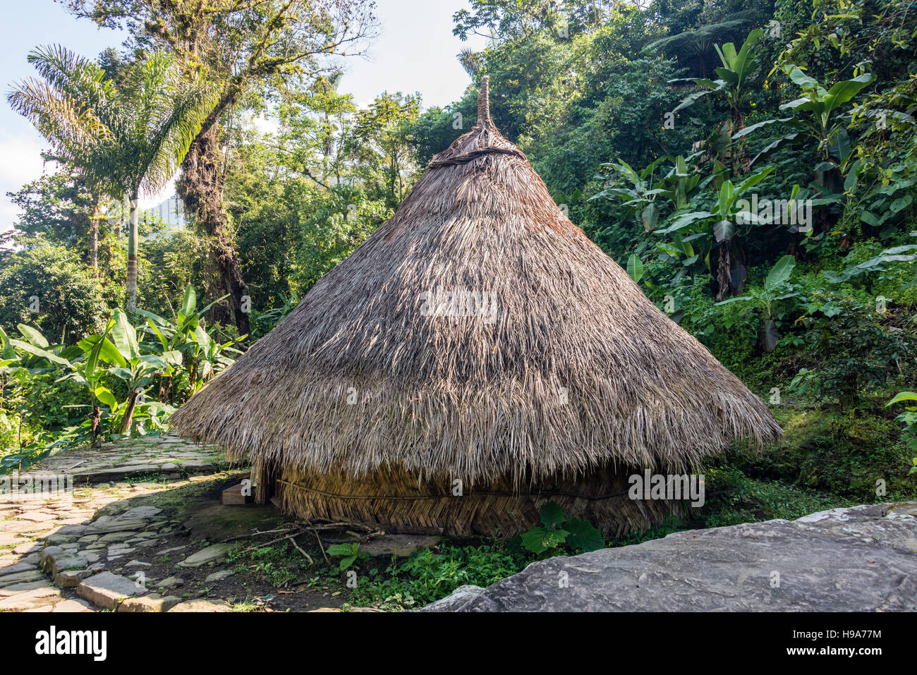 Colombia straw hi-res stock photography and images - Alamy