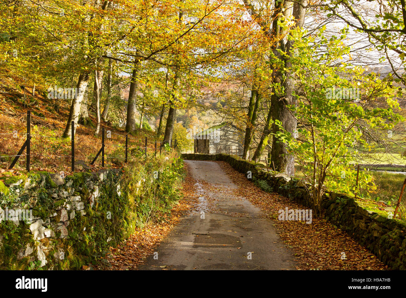 Ambleside road hi-res stock photography and images - Alamy