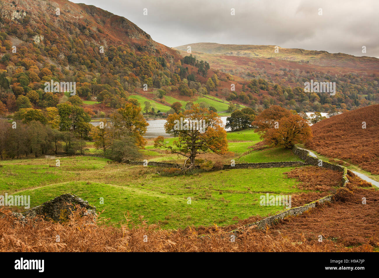 Rydal Water Lake District Cumbria Stock Photo - Alamy