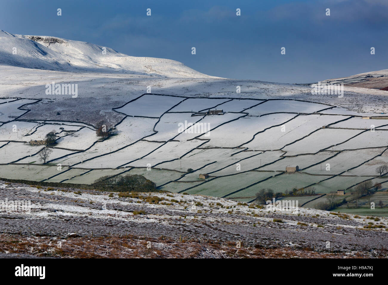 Swaledale near Reeth under light snow Yorkshire in Autumn Stock Photo ...