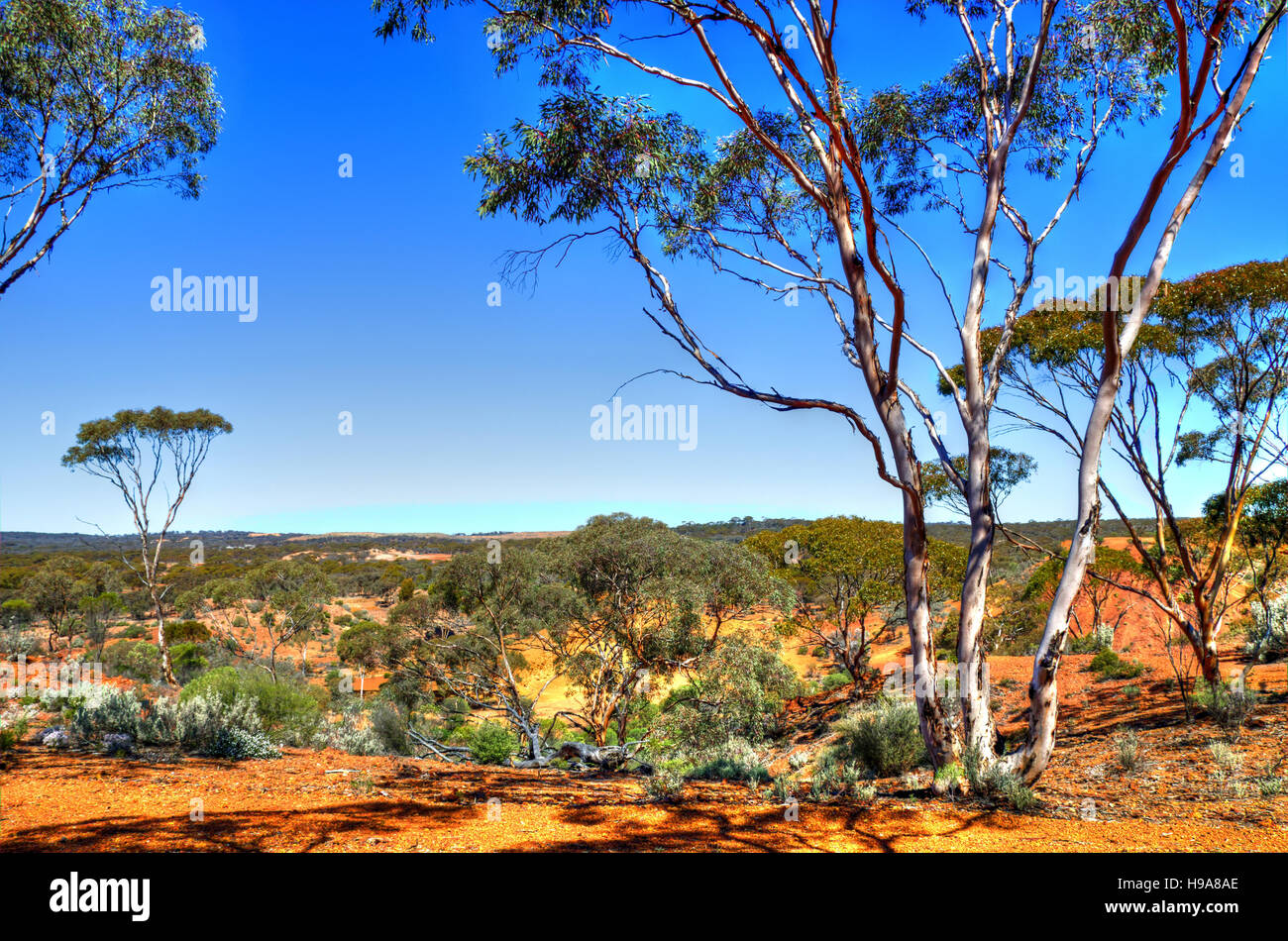 Western Australia Outback Landscape Stock Photo - Alamy