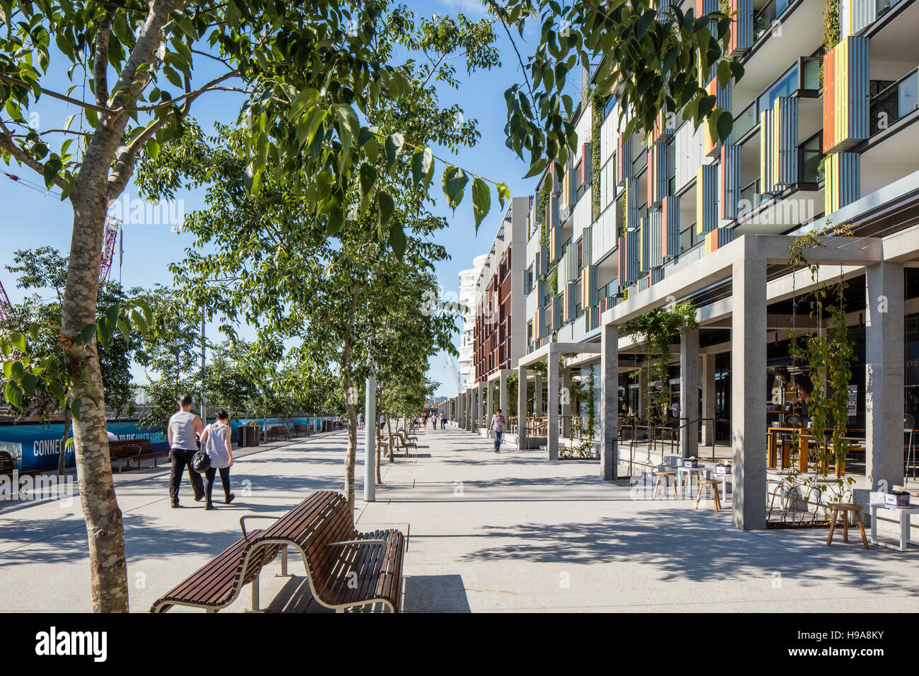Barangaroo foreshore walk hi-res stock photography and images - Alamy