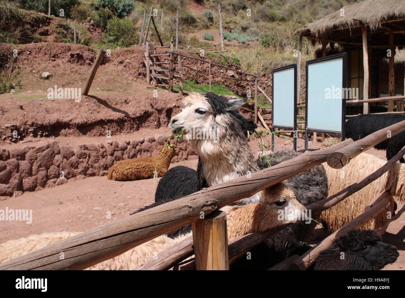 Waiting photos hi-res stock photography and images - Alamy