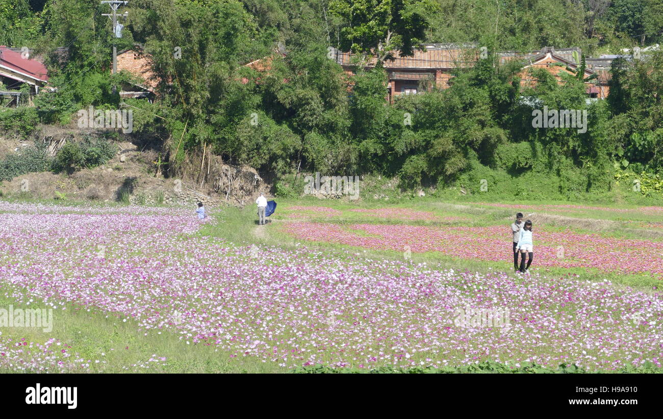 The flower garden with very nice weather for background Stock Photo - Alamy