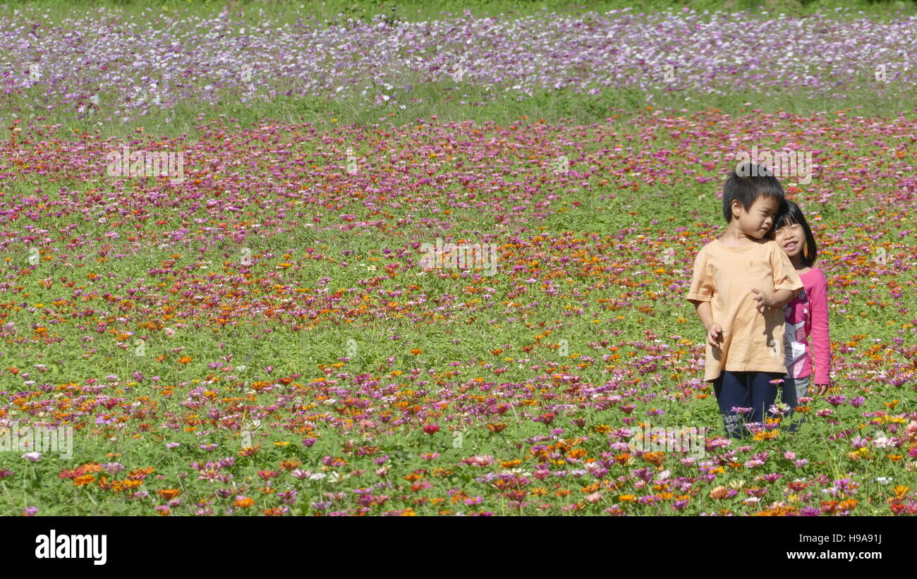 The flower garden with very nice weather for background Stock Photo - Alamy