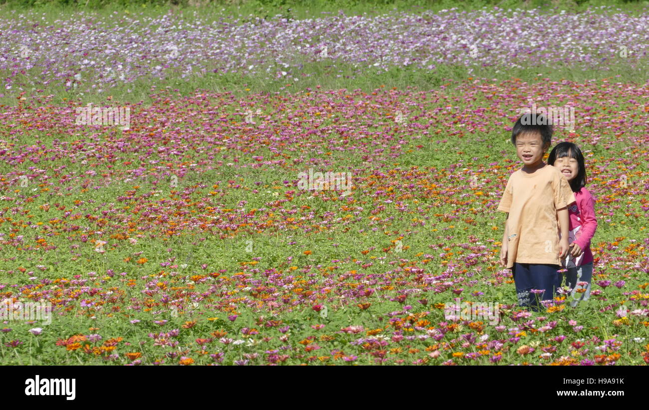 The flower garden with very nice weather for background Stock Photo - Alamy