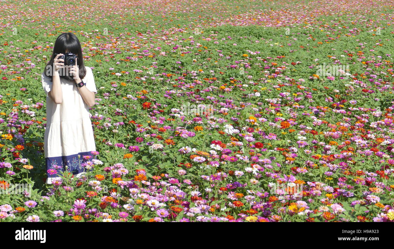 The flower garden with very nice weather for background Stock Photo - Alamy