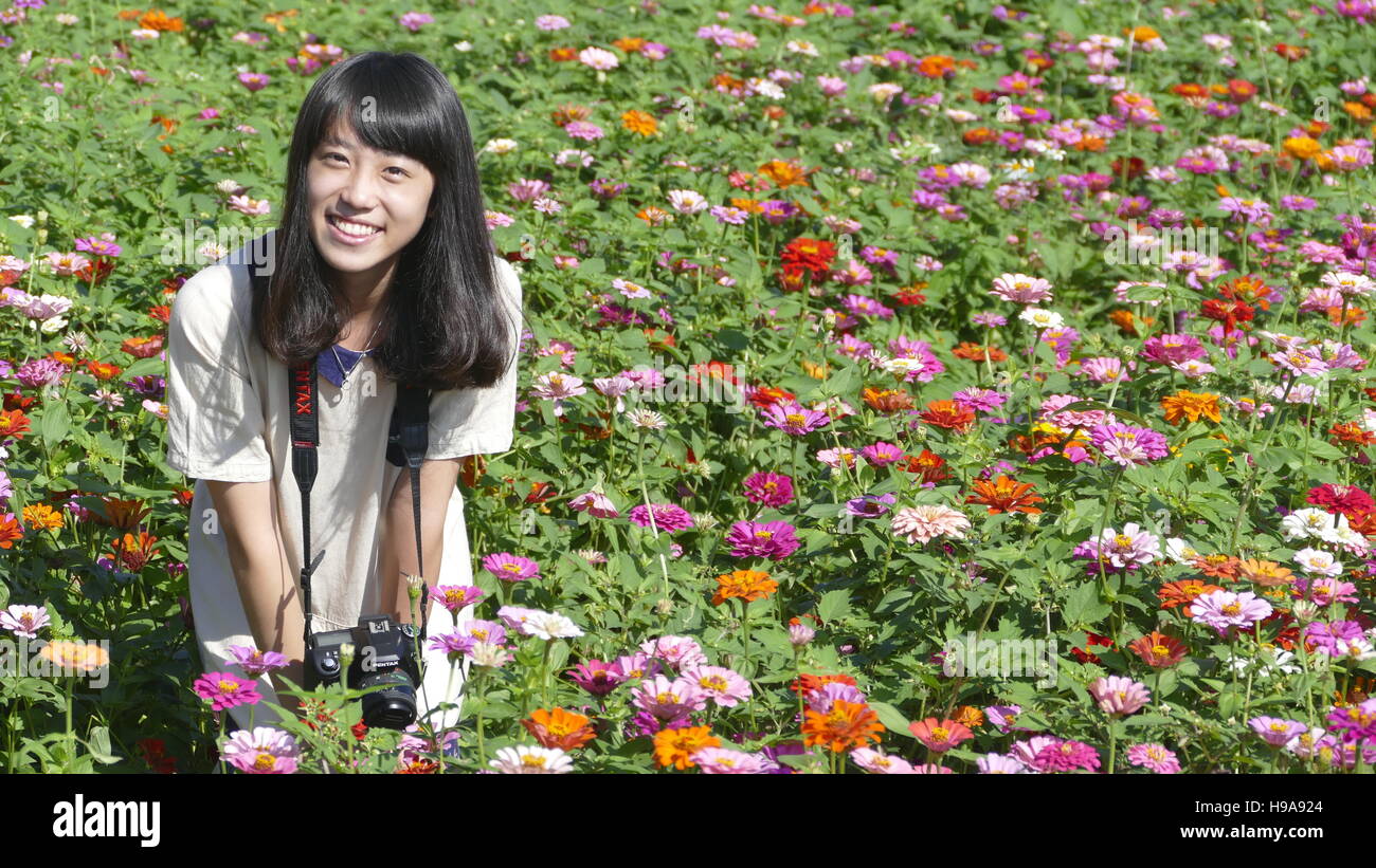 The flower garden with very nice weather for background Stock Photo - Alamy