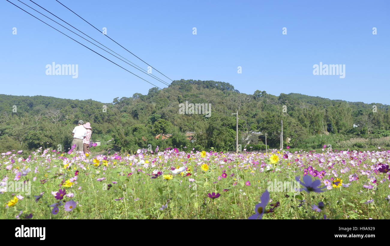 The flower garden with very nice weather for background Stock Photo - Alamy