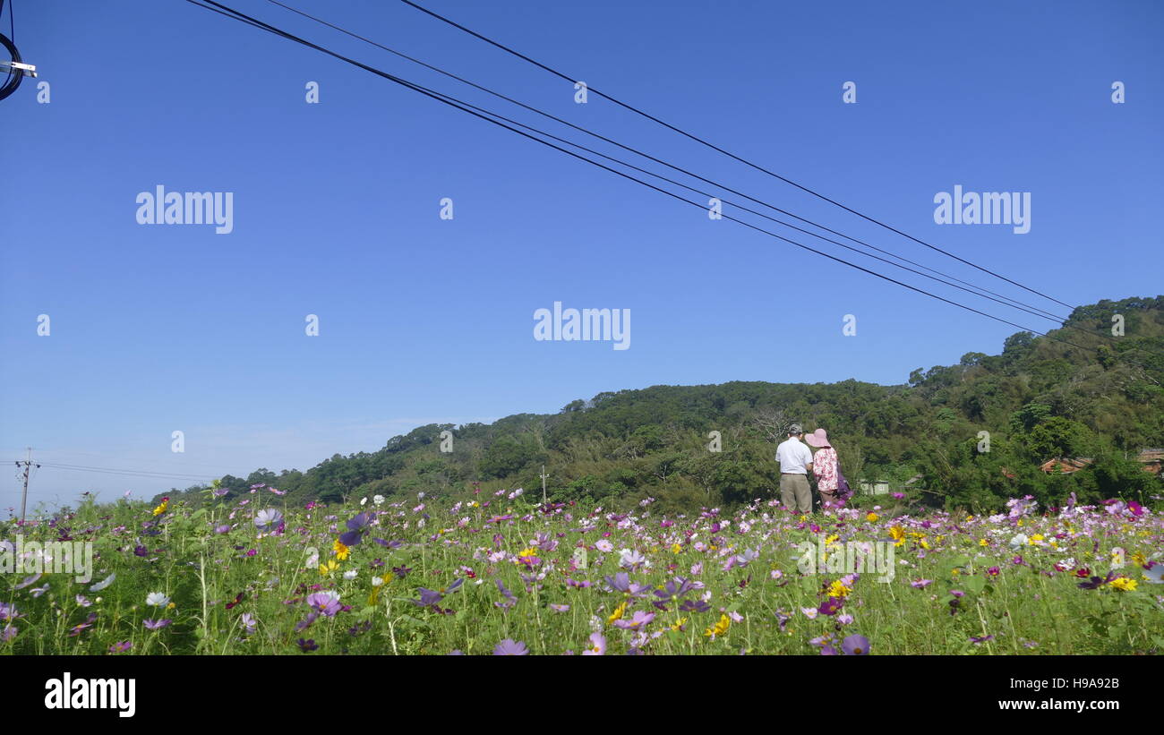 The flower garden with very nice weather for background Stock Photo - Alamy