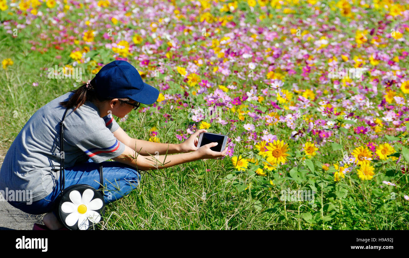 The flower garden with very nice weather for background Stock Photo - Alamy