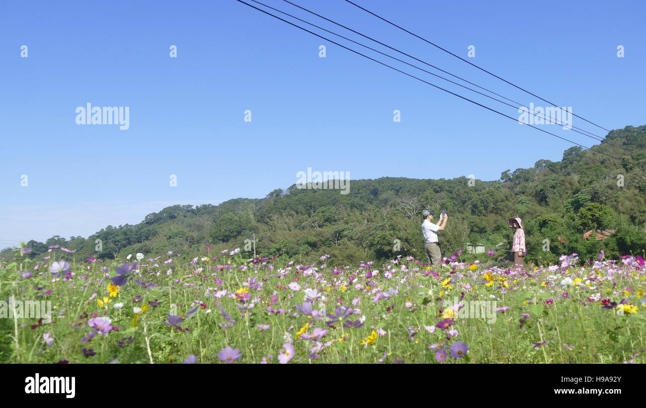 The flower garden with very nice weather for background Stock Photo - Alamy