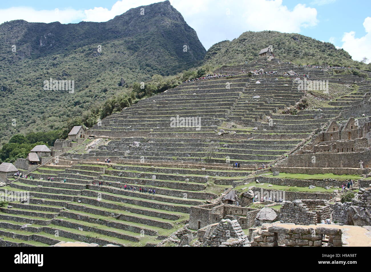 Andenes in Cusco Stock Photo - Alamy