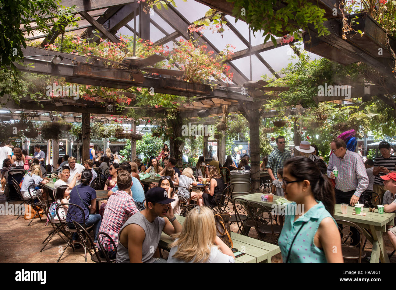People dining under a canopy of leaves at The Grounds, Alexandria ...