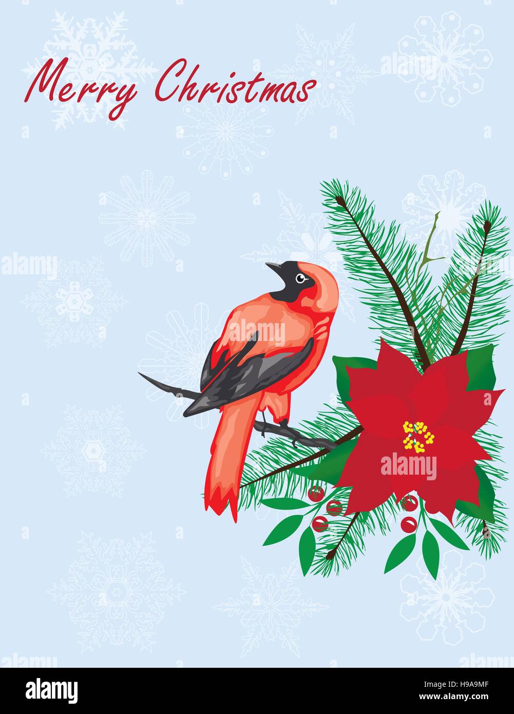 vector illustration of a Christmas card with red bird, poinsettia, fir ...