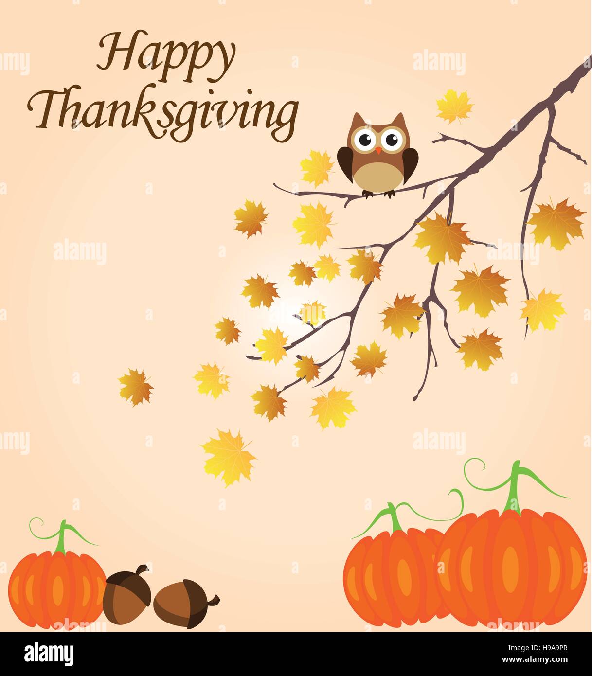 vector illustration of thanksgiving background with pumpkins, acorns ...