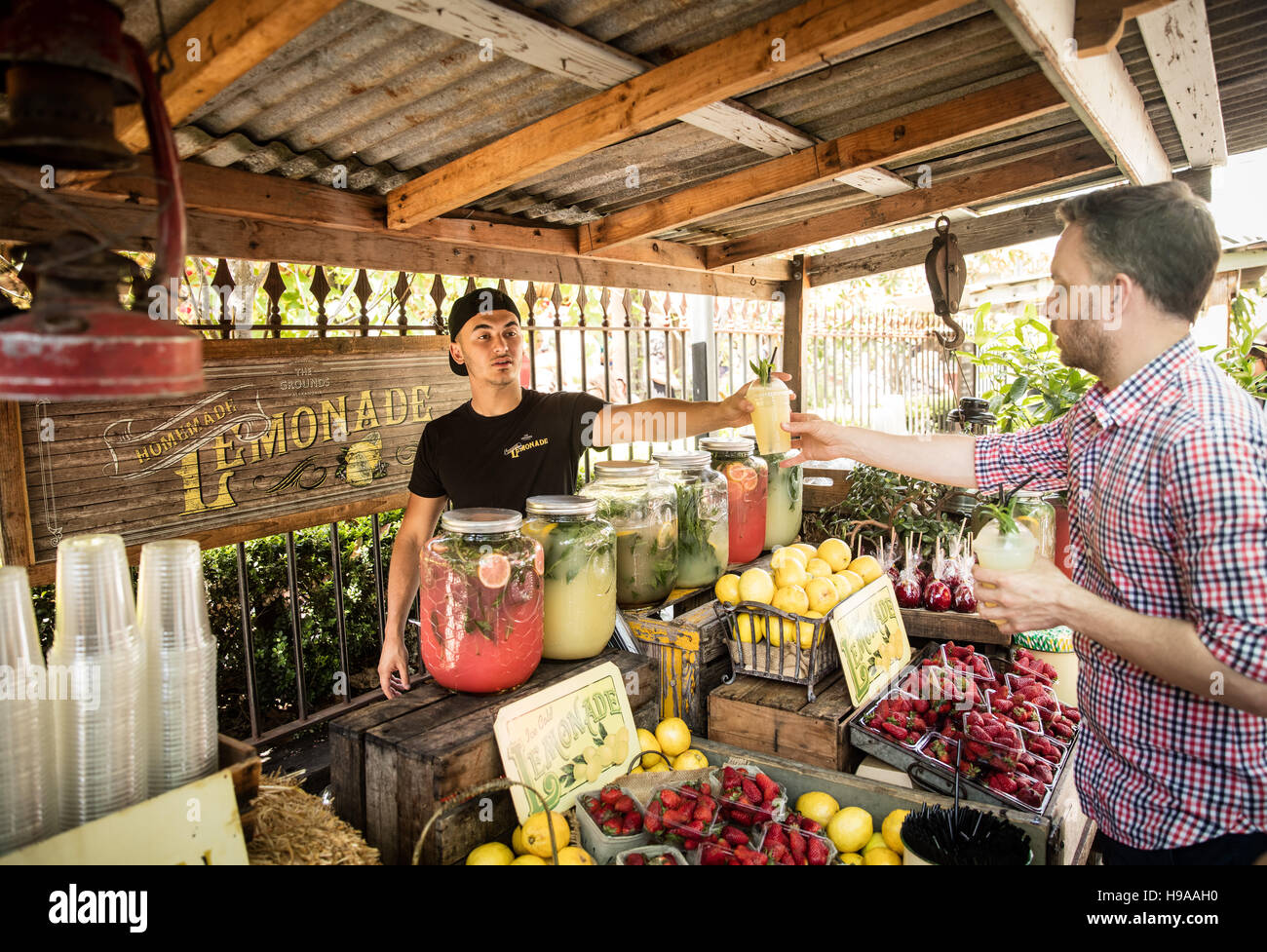 The Lemonade stall at the The Grounds, Alexandria a coffee/food/drink ...