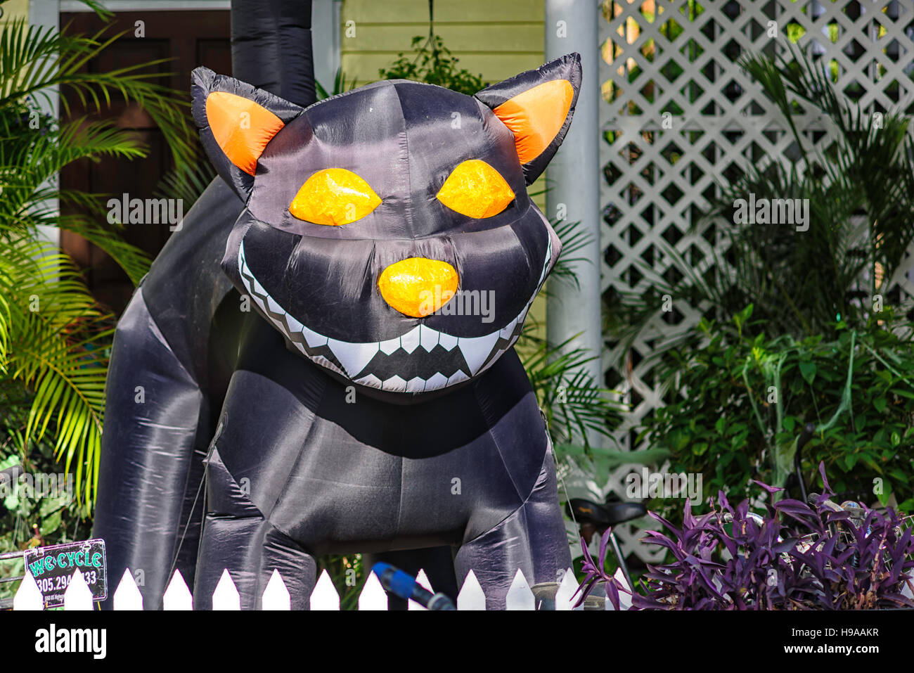 Inflatable Halloween Cat in a front yard on Duval Street, Key West ...
