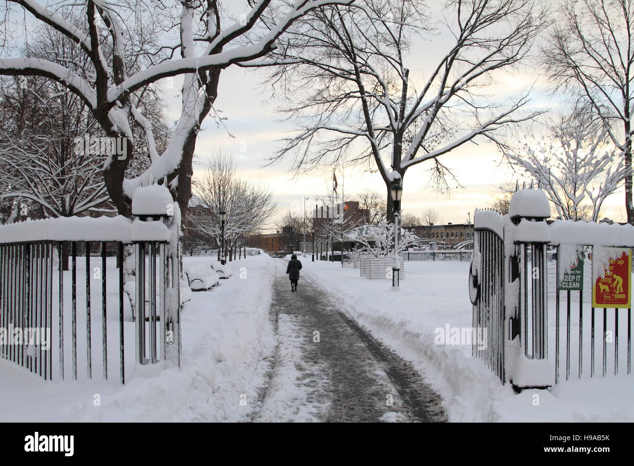 A snow covered park Stock Photo - Alamy