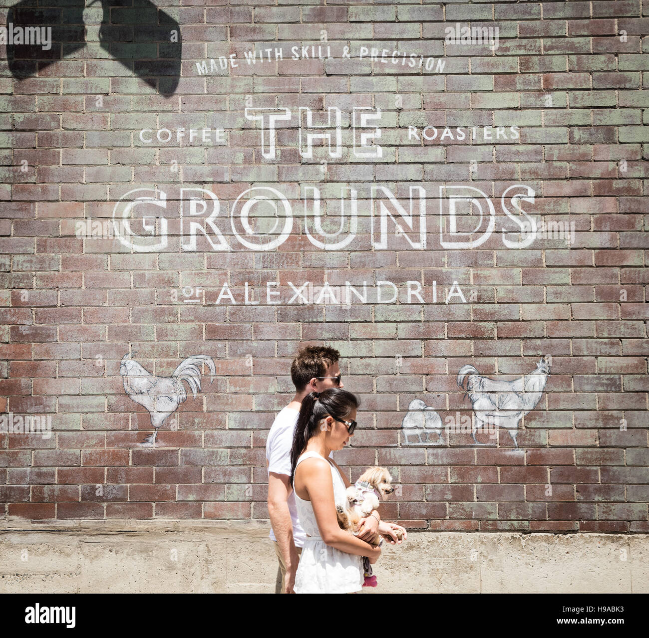 The Grounds Alexandria in Sydney Stock Photo - Alamy