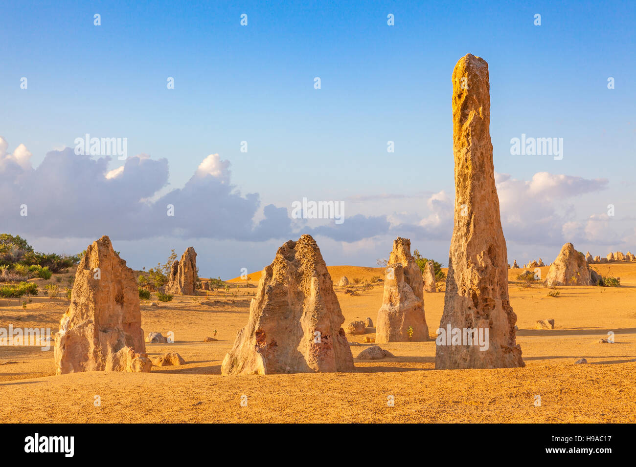 The Pinnacles are limestone formations contained within Nambung ...