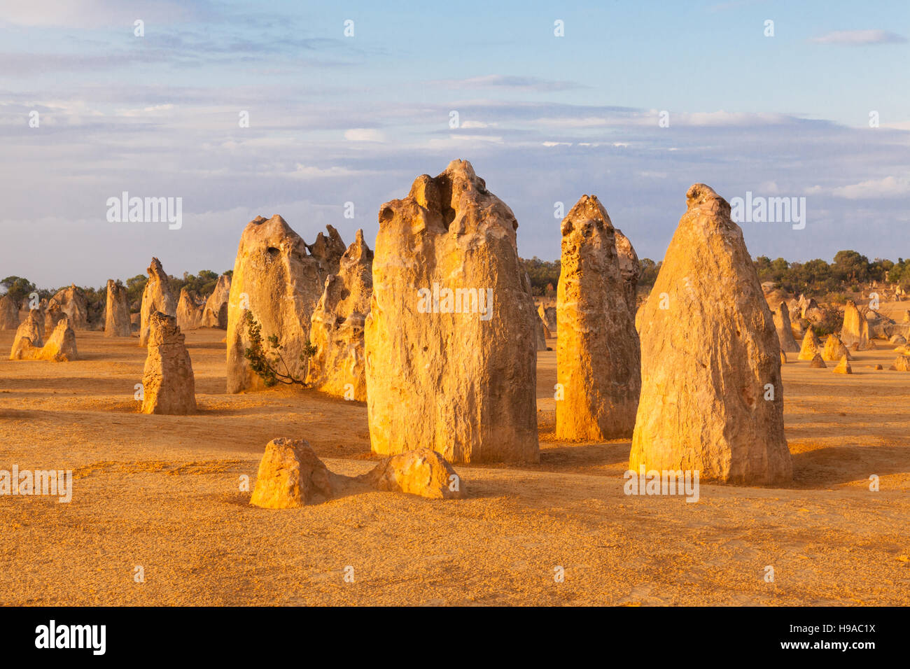 The Pinnacles are limestone formations contained within Nambung ...
