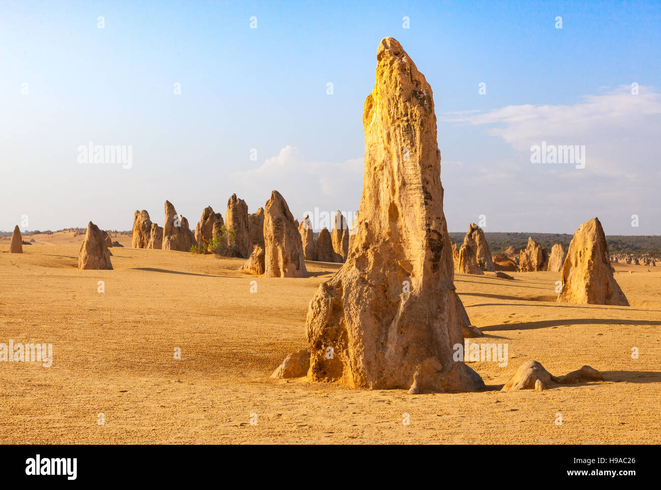The Pinnacles are limestone formations contained within Nambung ...