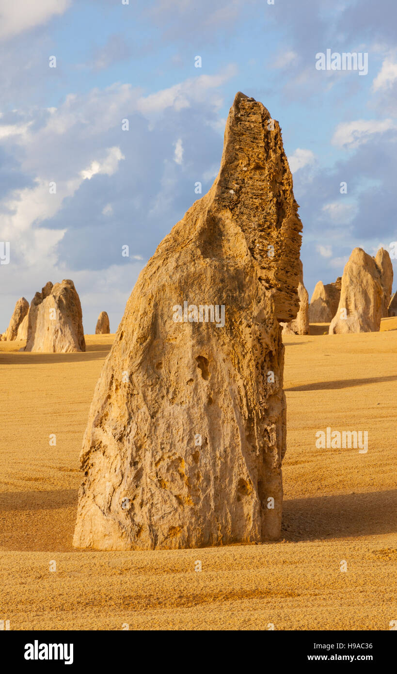 The Pinnacles are limestone formations contained within Nambung ...