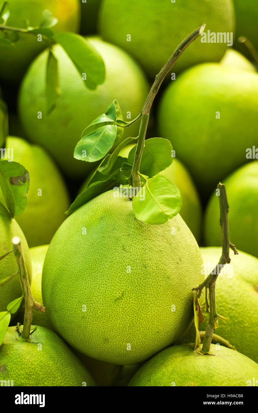 Ta kor hi-res stock photography and images - Alamy