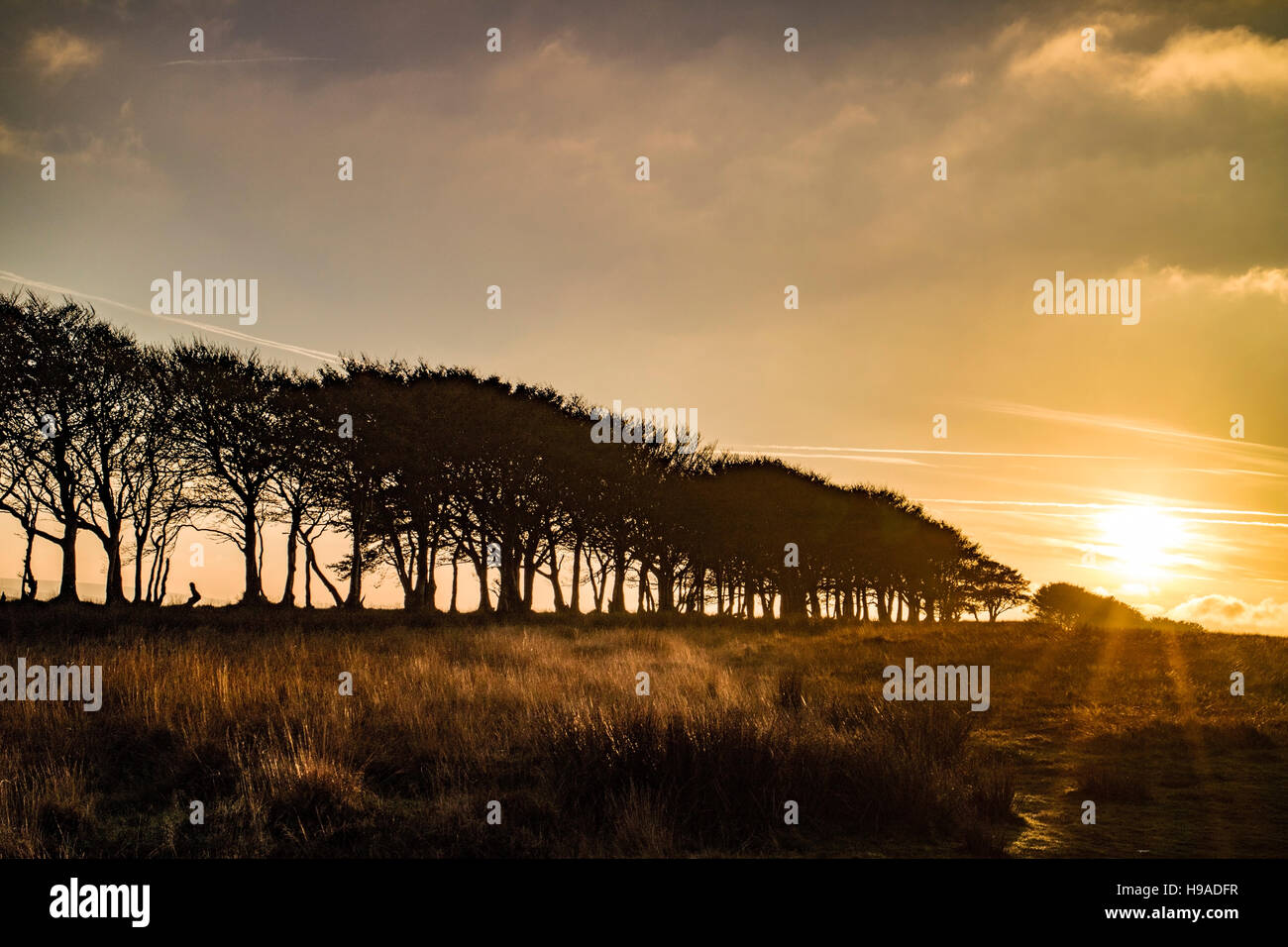 Sunset over Porlock Common, Exmoor National Park, Somerset, England, UK ...