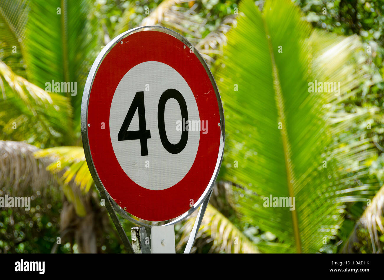 Speed limit sign beside coconut trees, Anaiki, Niue, South Pacific ...