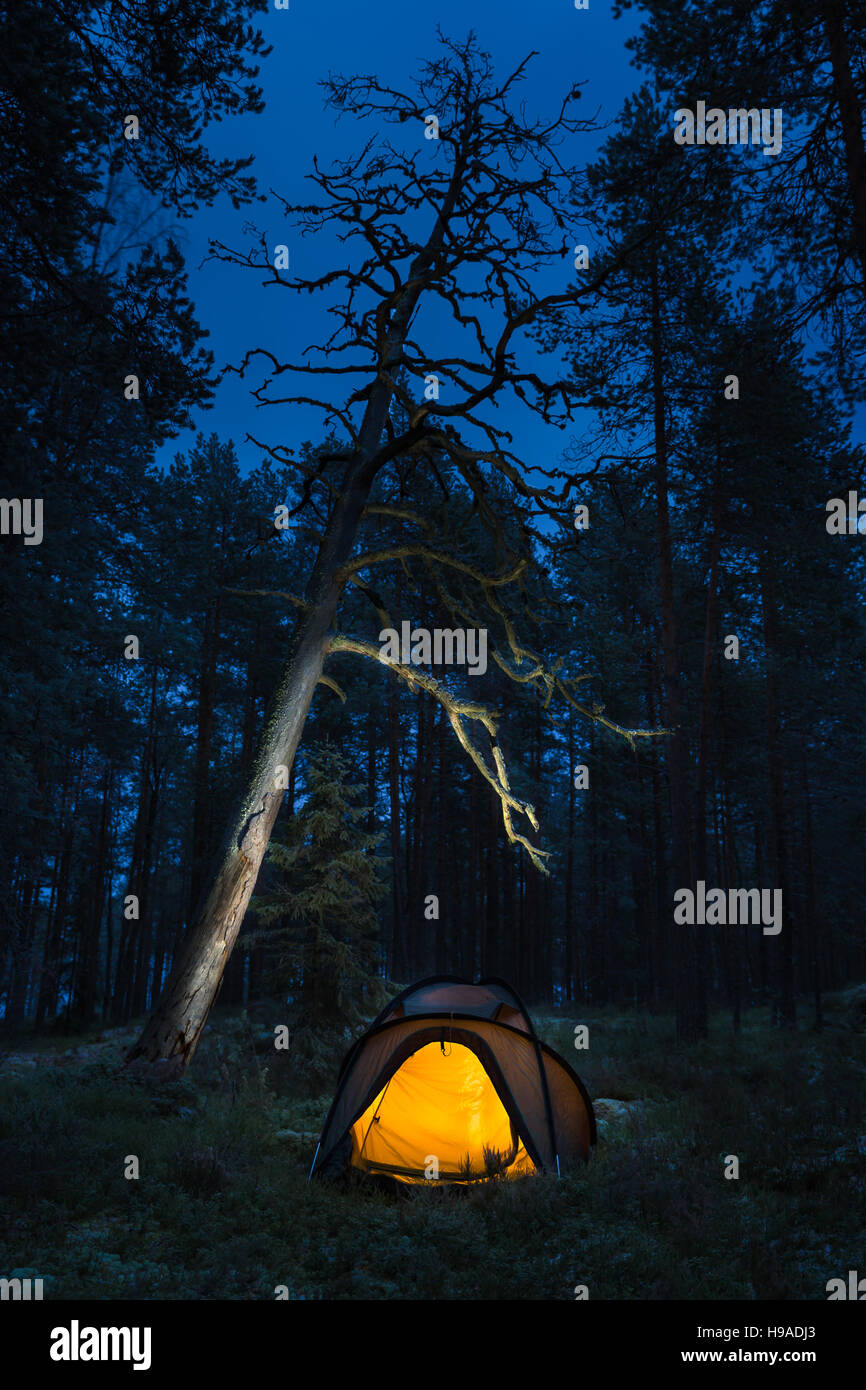 Wild camping in wilderness in old forest Stock Photo - Alamy