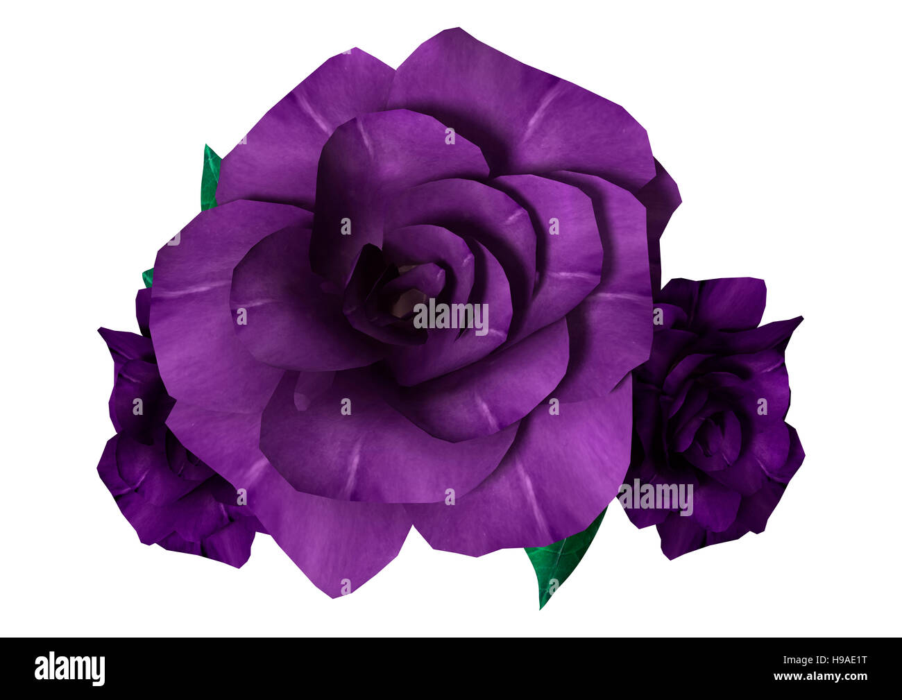 3D rendering of three purple roses isolated on white background Stock ...