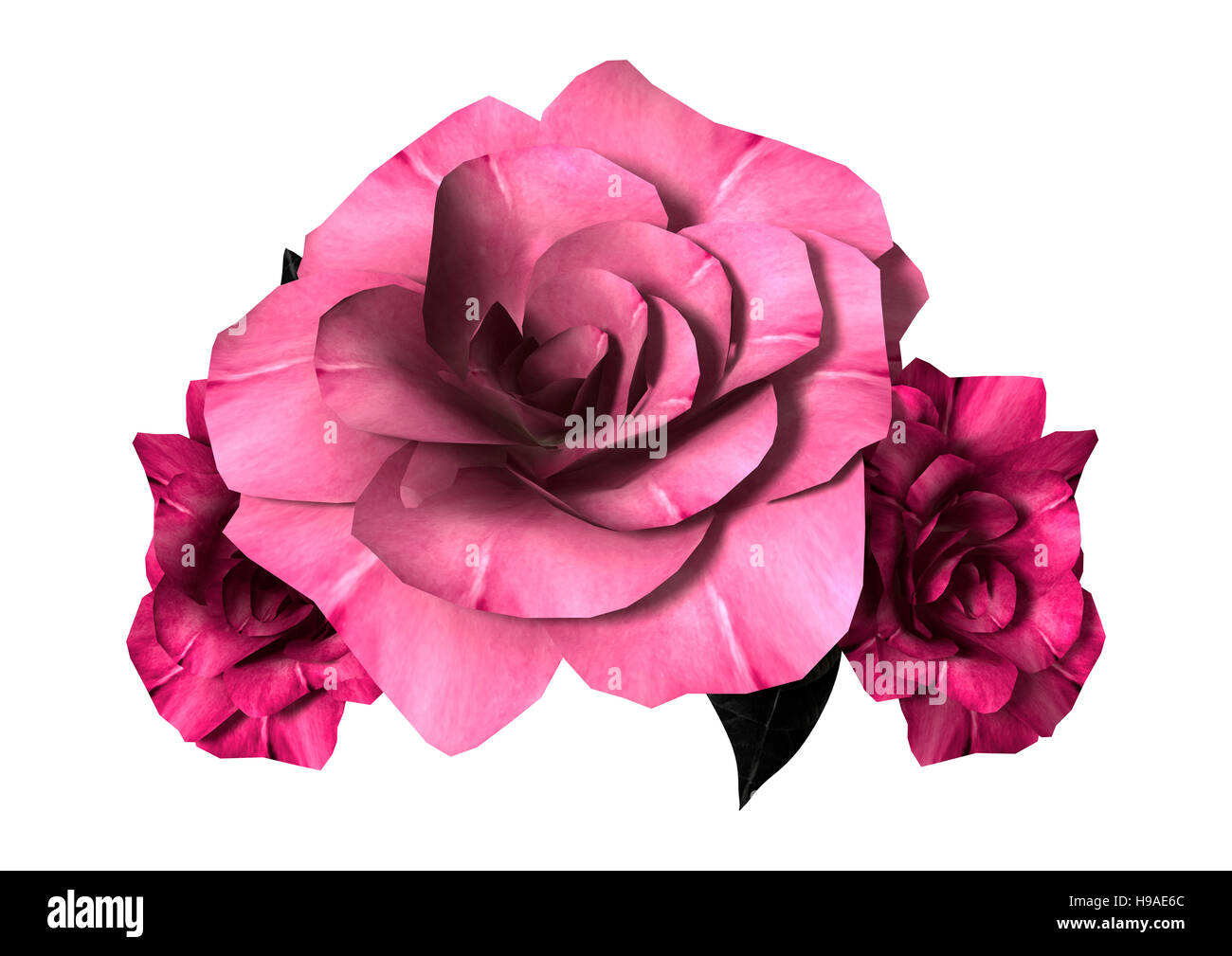 3D rendering of three pink roses isolated on white background Stock ...