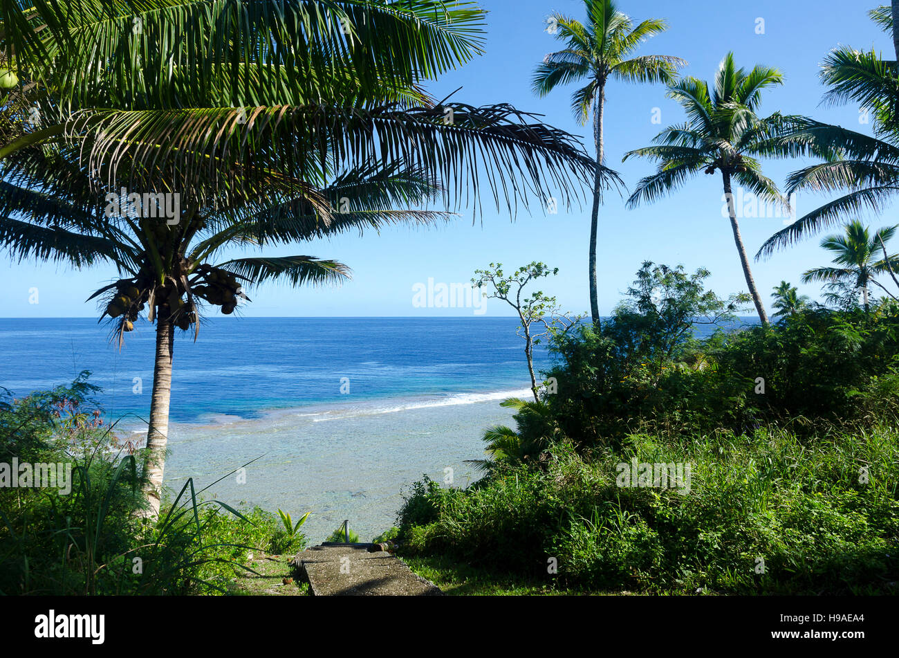 Coconut trees on coast beside fringing reef, Tuapa, Niue, South Pacific ...