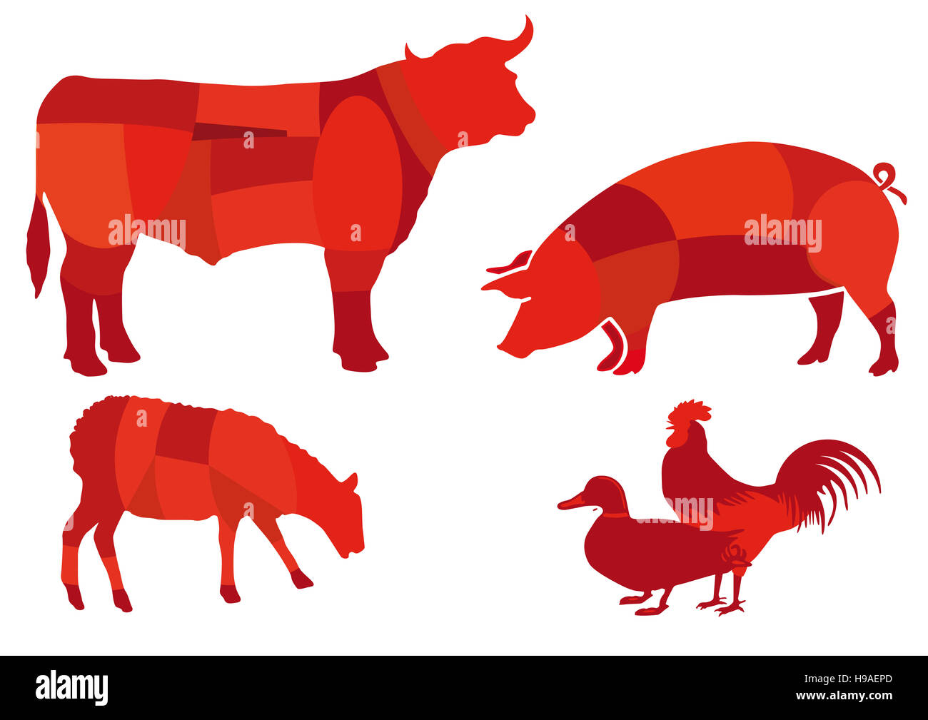 Ox beef sign hi-res stock photography and images - Alamy