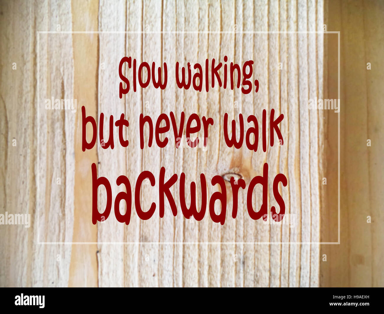 Slow walking, but never walk backwards. Background, textures, wood ...
