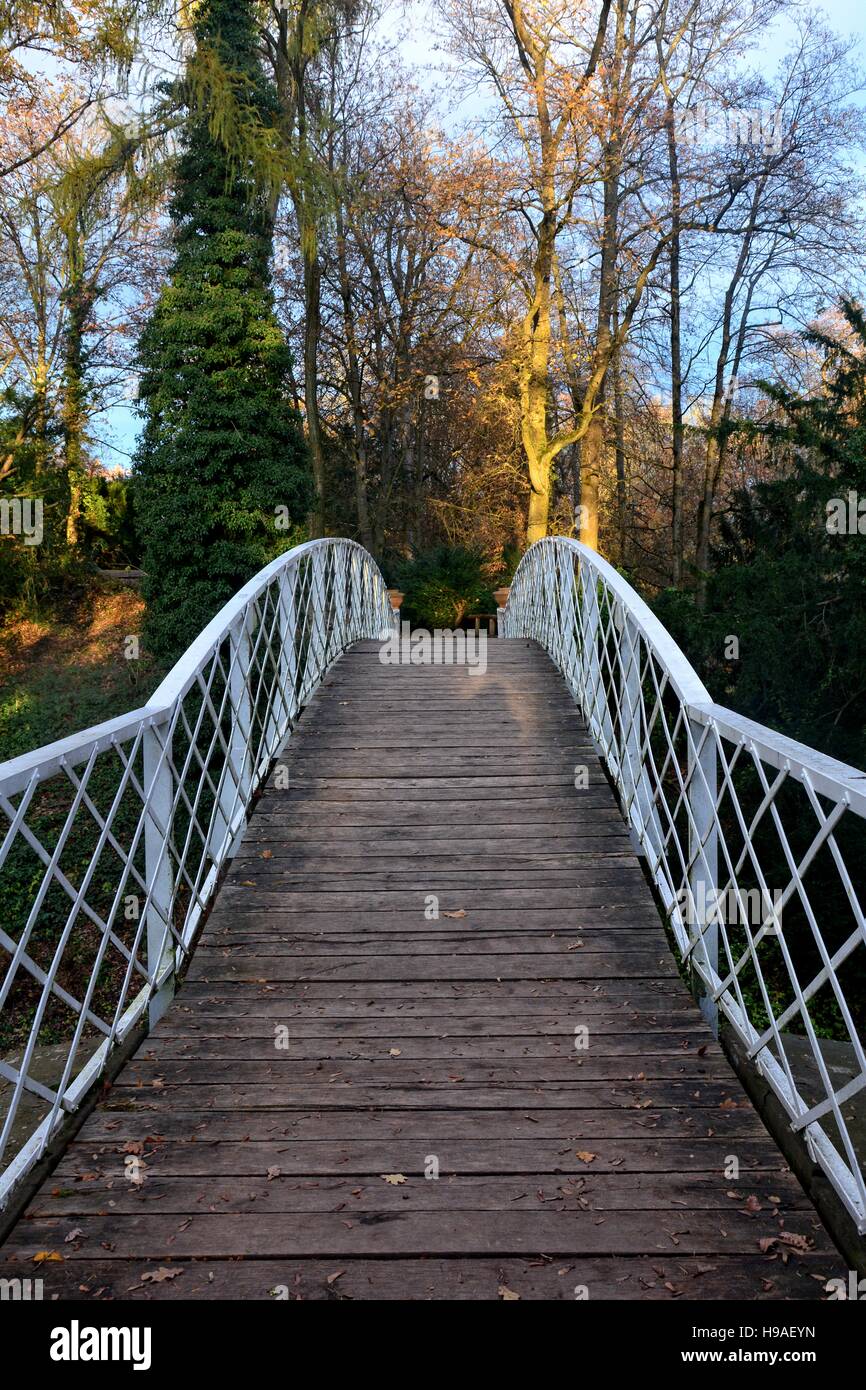 Curves bridge of wood with white metal area and autumnal trees in the ...