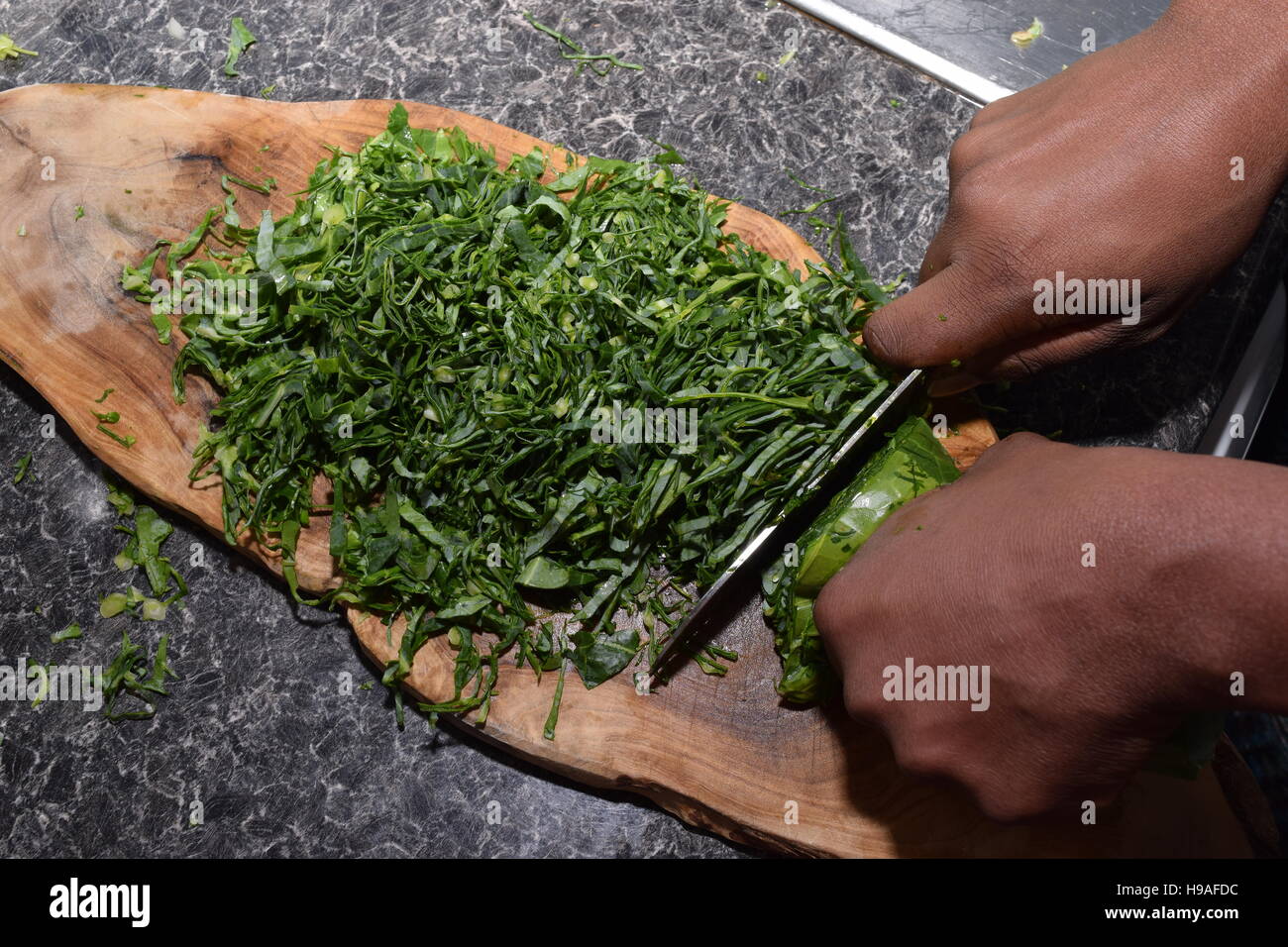 Overhead view of woman cutting spinach Stock Photo - Alamy