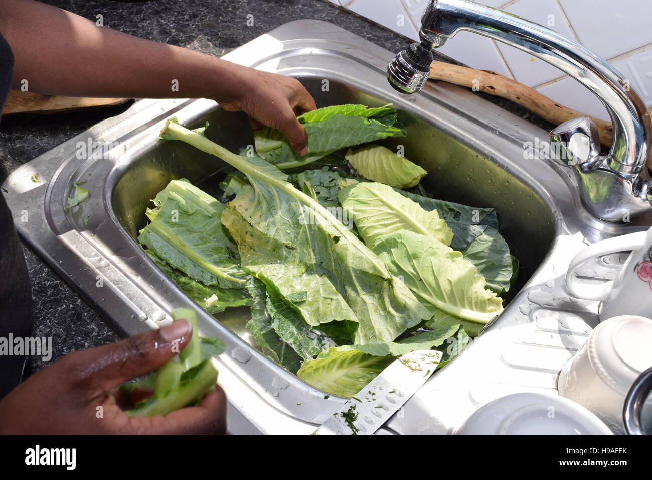 Washing spinach in colander Stock Photo - Alamy