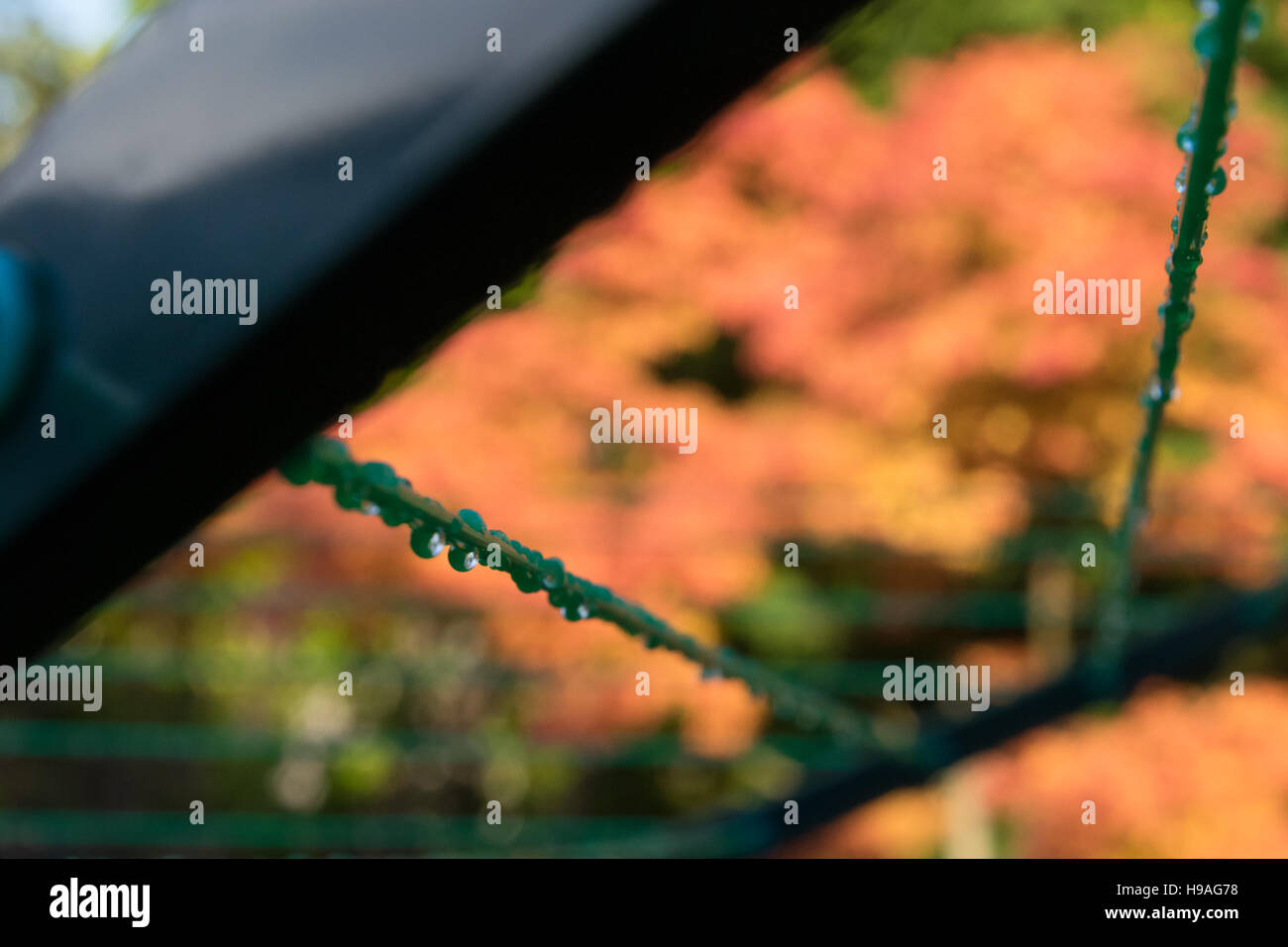 Washing Line In The Rain Stock Photo Alamy washing-line-in-the-rain-stock-photo-alamy