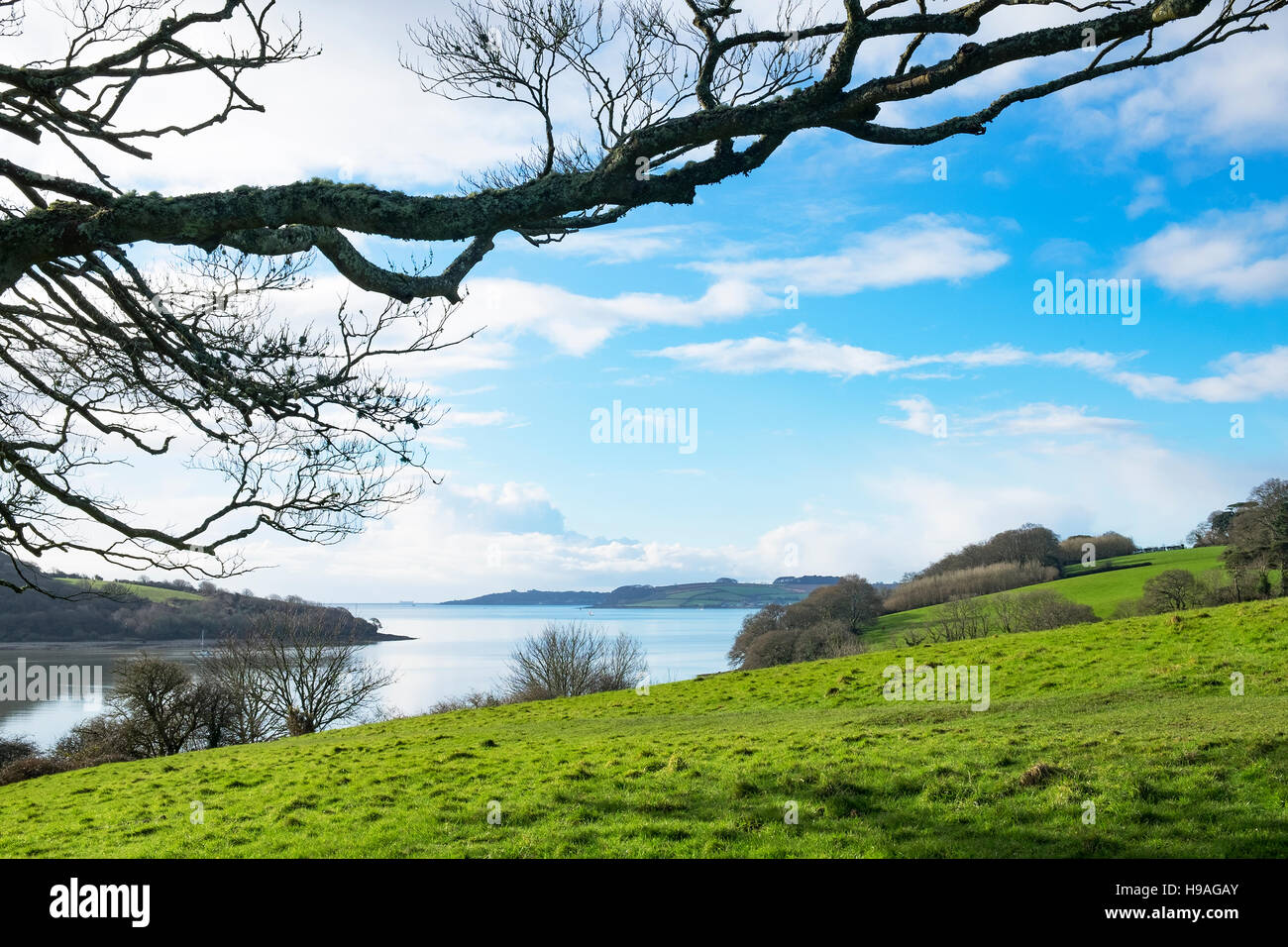 a view looking towards the "Carrick Roads" on the river Fal in Cornwall ...