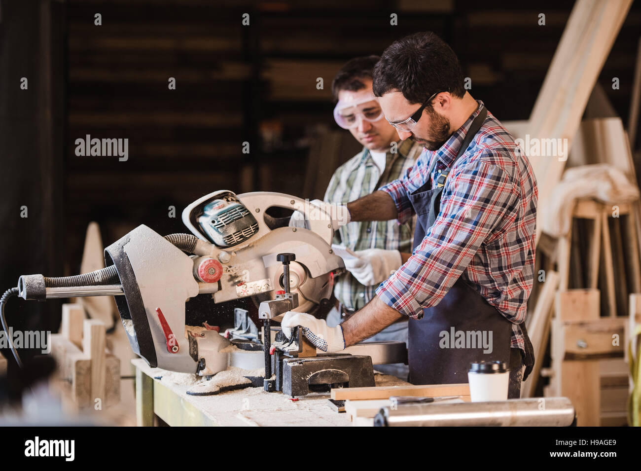 Framing contractor using a circular cut off saw to trim wood studs ...
