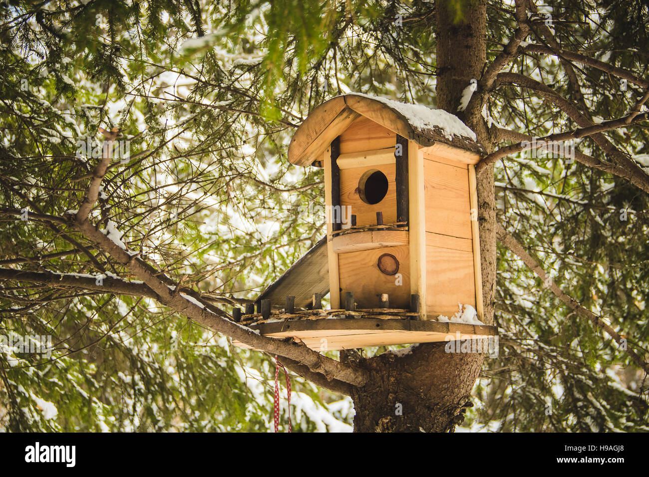 Nest box hanging at tree hi-res stock photography and images - Alamy